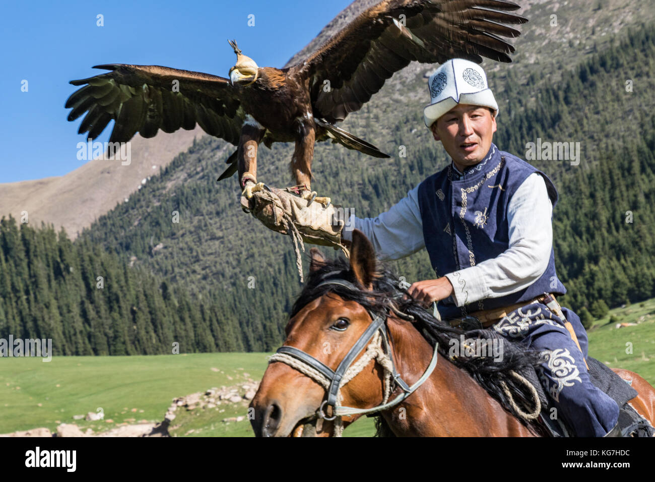 Kyrgyzstan eagle in flight hi-res stock photography and images - Alamy
