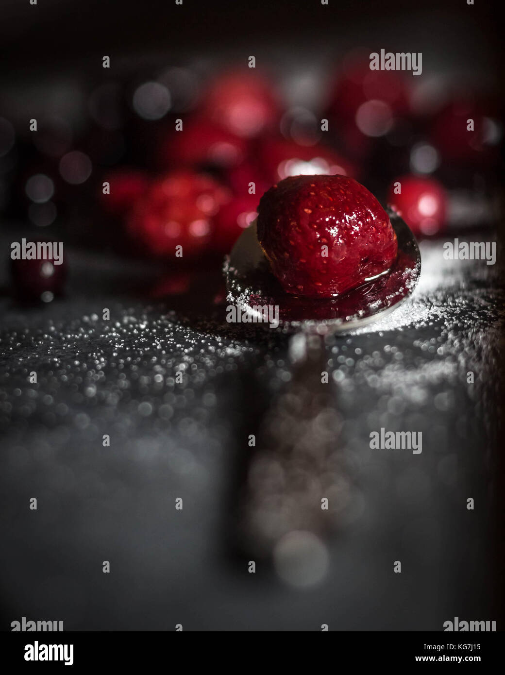 Grey berries hi-res stock photography and images - Alamy