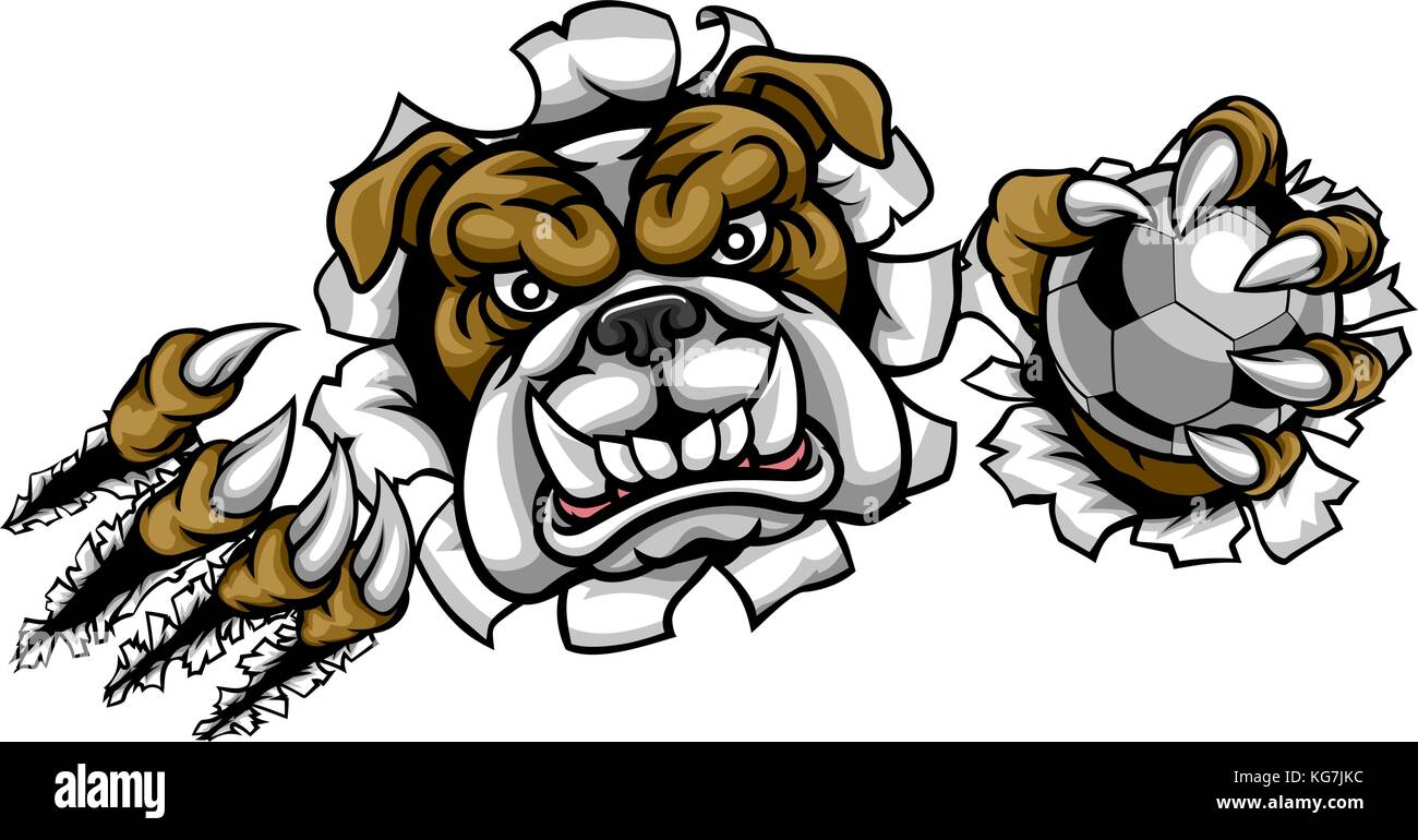 Bulldog Soccer Football Mascot Stock Vector Image & Art - Alamy