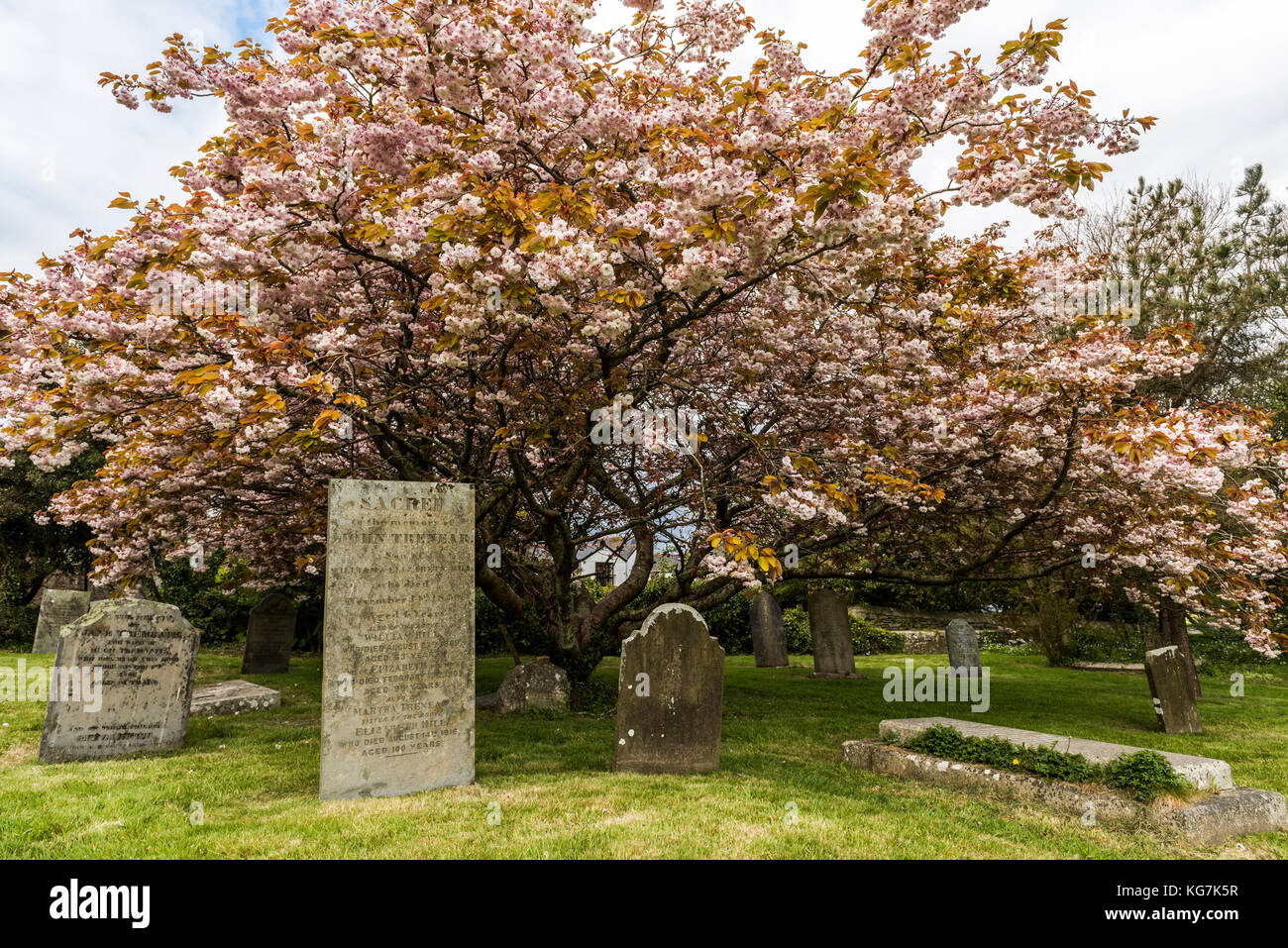 England cornwall cemetery grave hi-res stock photography and images - Alamy