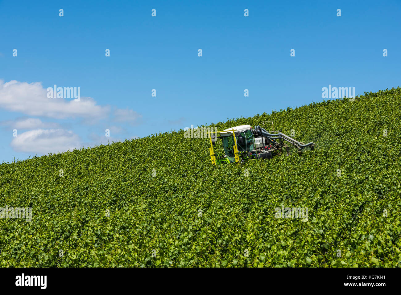 Spraying pesticide vineyard france hi-res stock photography and images - Alamy