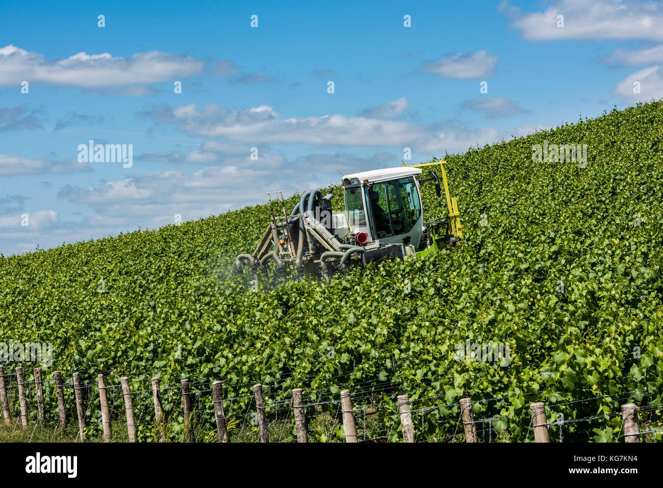 Vineyard crop spraying tractor hi-res stock photography and images - Alamy