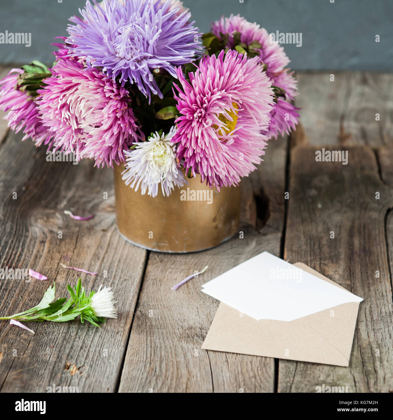 Multicolor aster flowers bouquet, blank white greeting card and craft ...