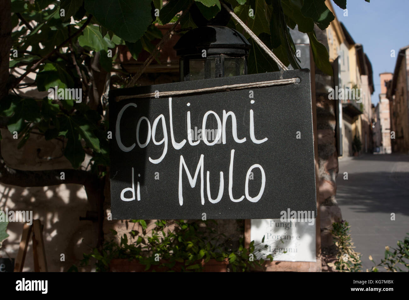 Sign reading "Coglioni di Mulo" (Mule's balls), Spello, Umbria, Italy ...