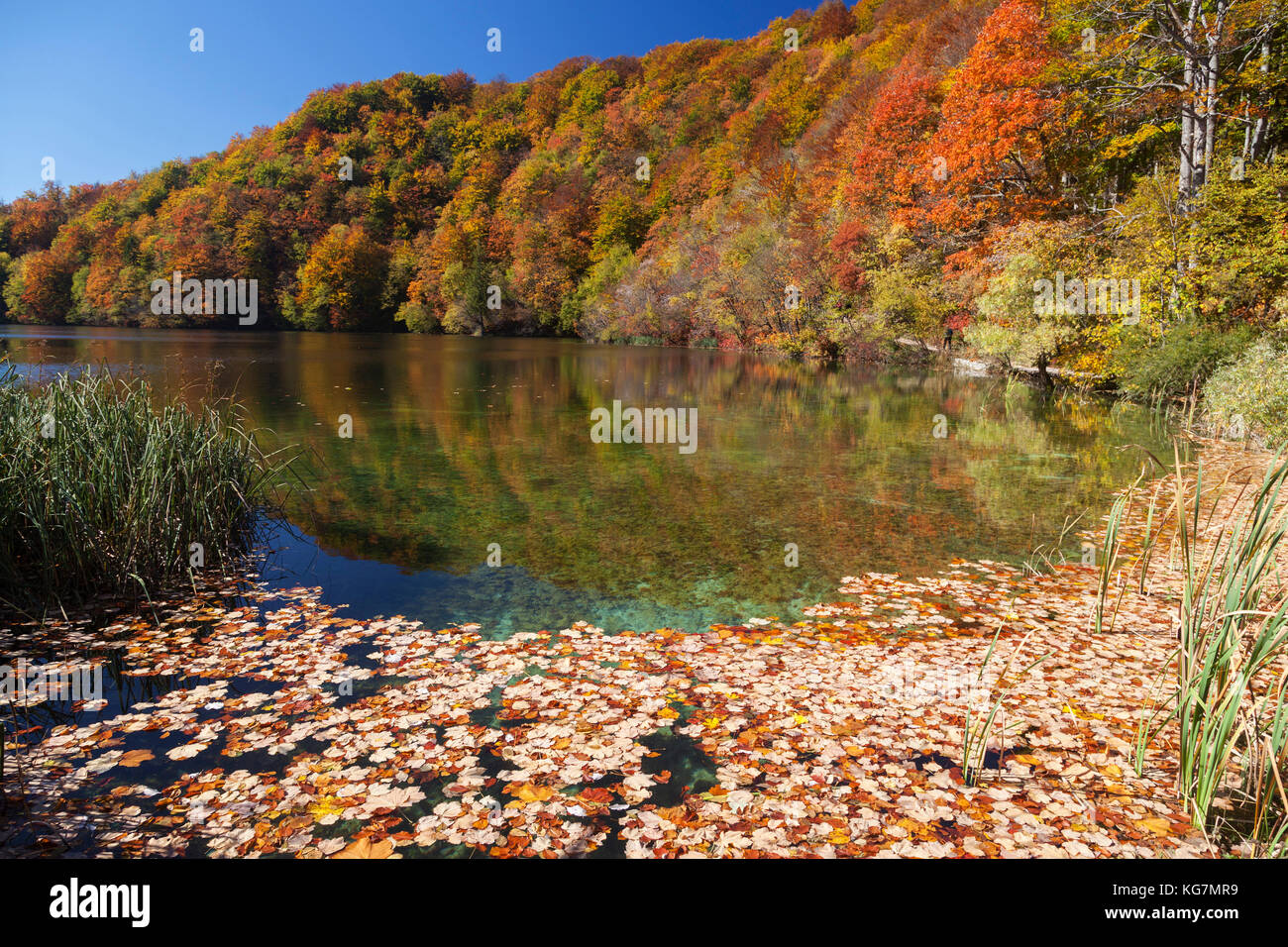 Autumn in Plitvice Lakes, Croatia Stock Photo - Alamy