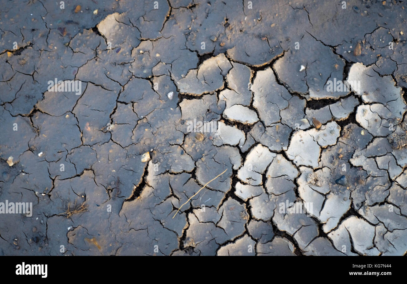 Dried sediment hi-res stock photography and images - Alamy