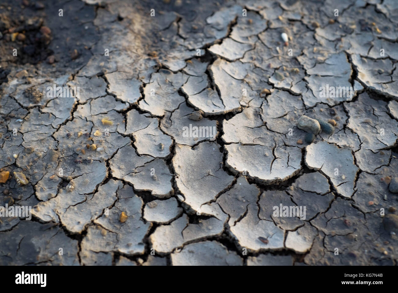 dried cracked earth Stock Photo - Alamy