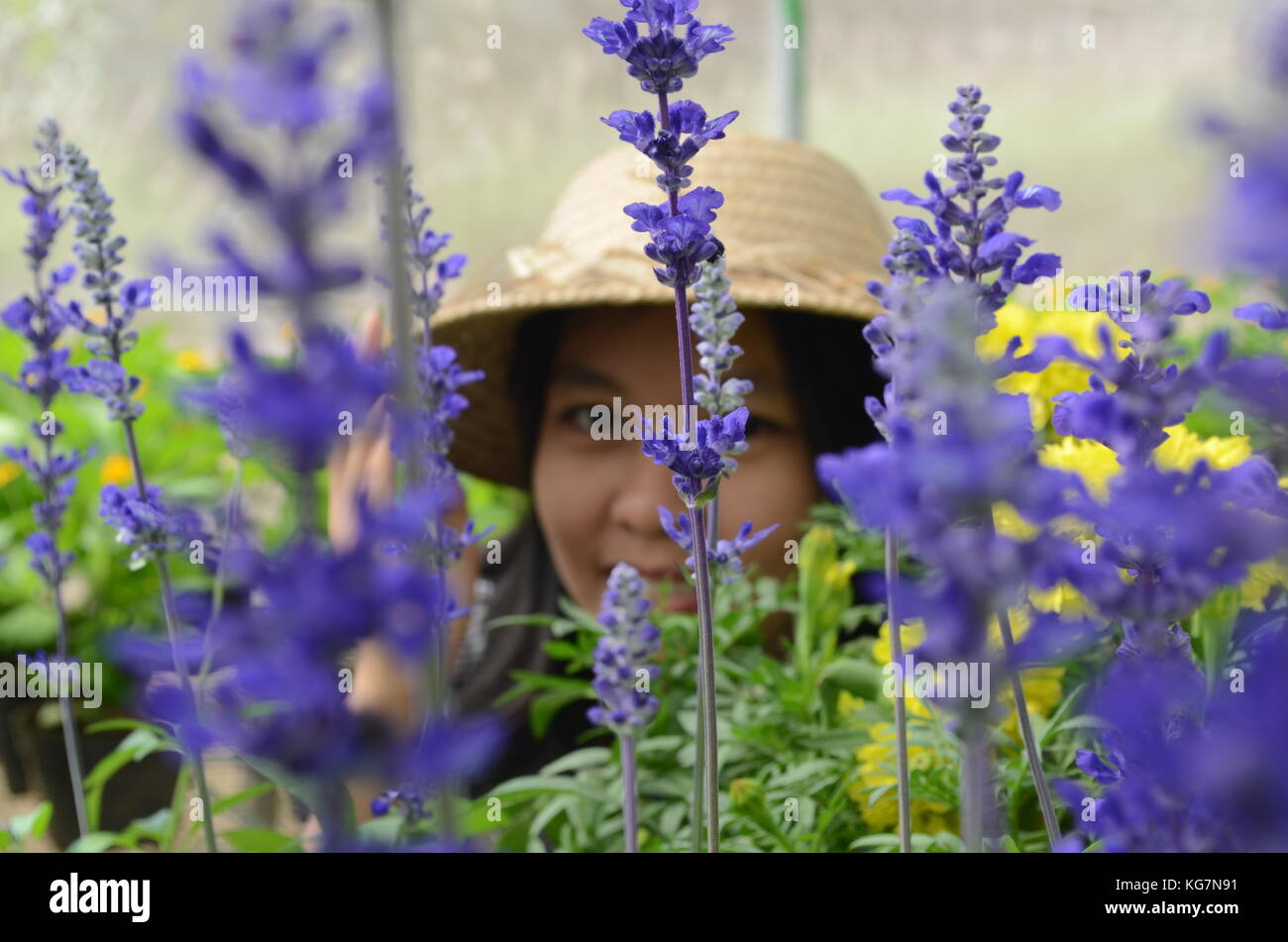 Woman Hiding in Bunch of Flowers Stock Photo - Alamy