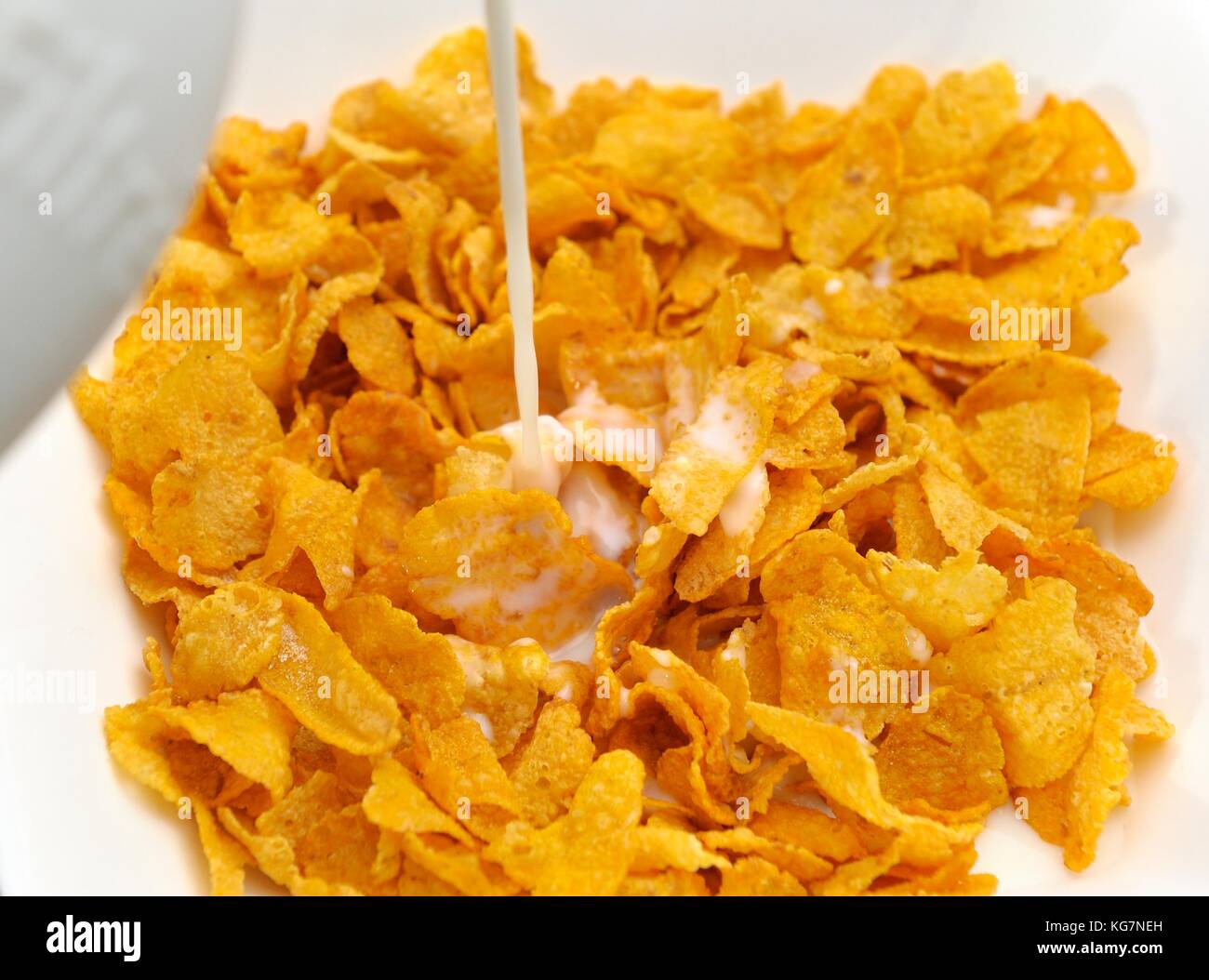 Milk pouring onto cornflakes hi-res stock photography and images - Alamy