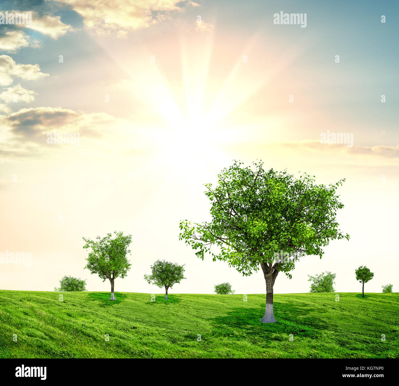 Panoramic meadow with trees Stock Photo - Alamy