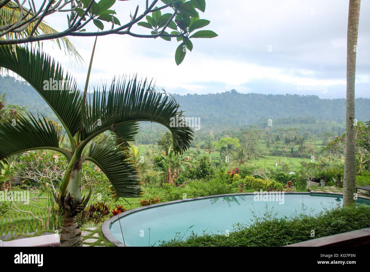 Piscine paradisiaque hi-res stock photography and images - Alamy
