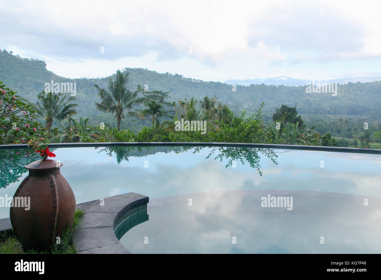 Swimming pool overlooking paddy-rice fields - Bali - Indonesia Stock ...