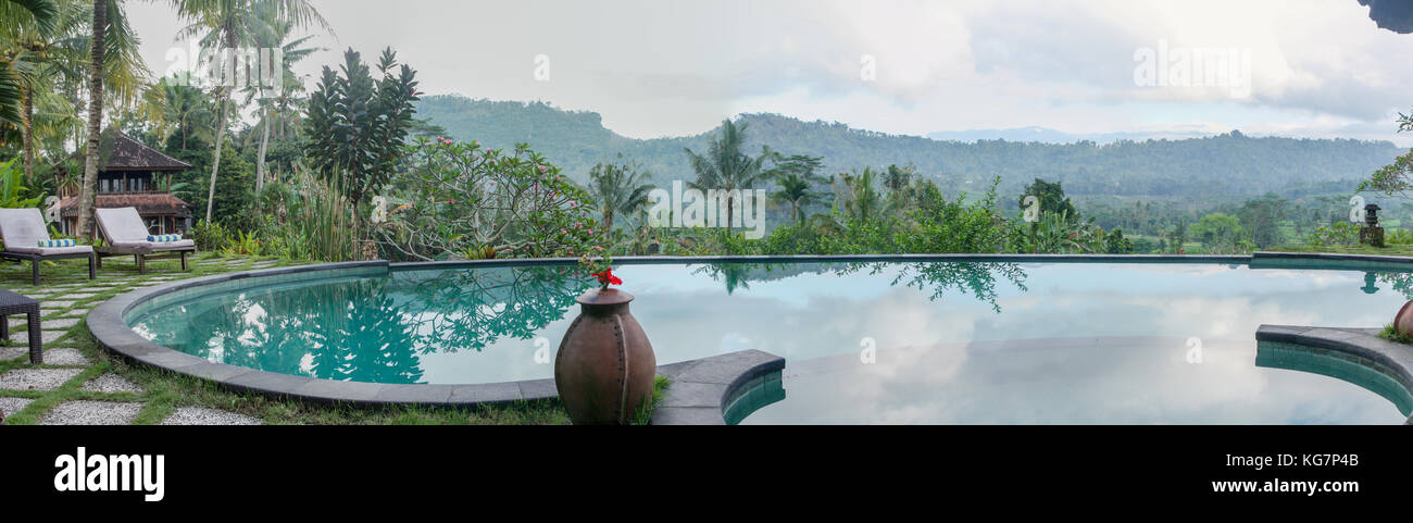 Swimming pool overlooking paddy-rice fields - Bali - Indonesia Stock ...