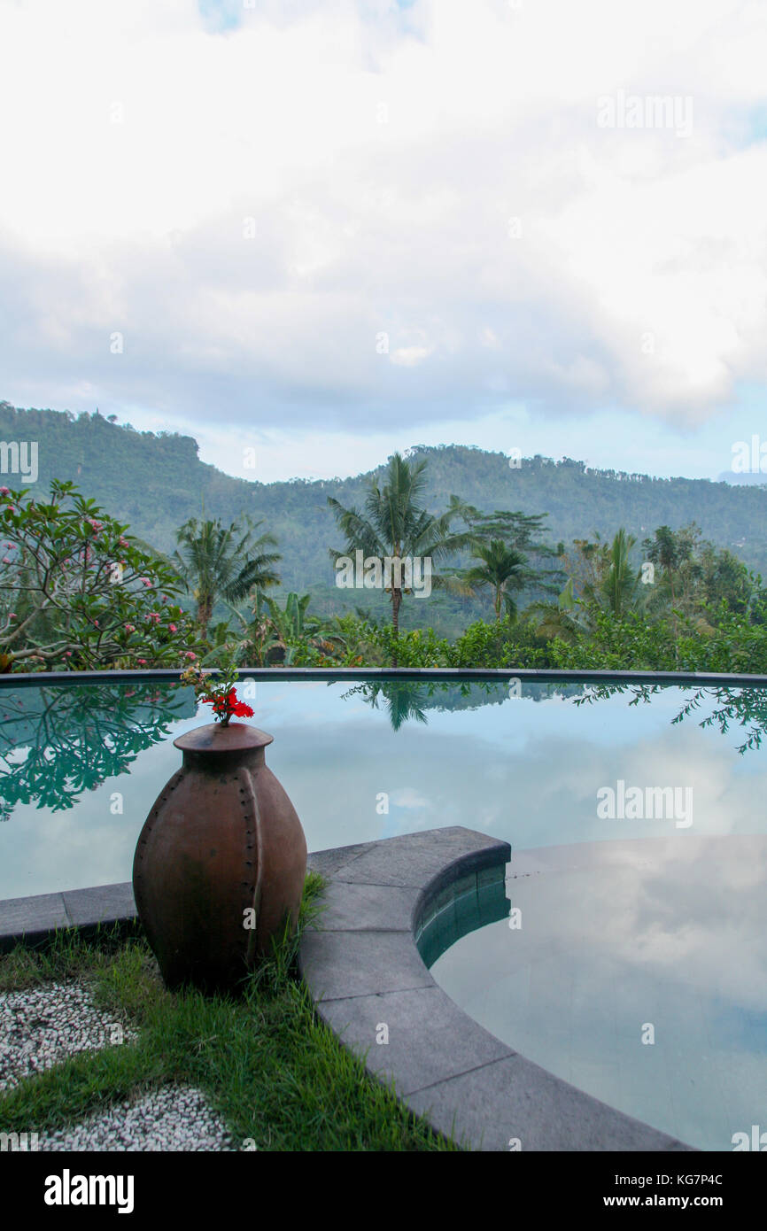 Swimming pool overlooking paddy-rice fields - Bali - Indonesia Stock ...