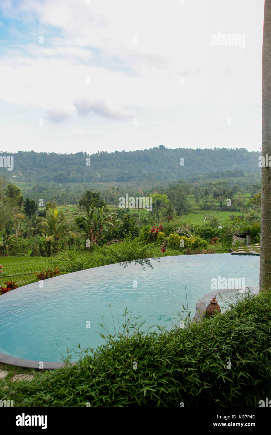 Swimming pool overlooking paddy-rice fields - Bali - Indonesia Stock ...