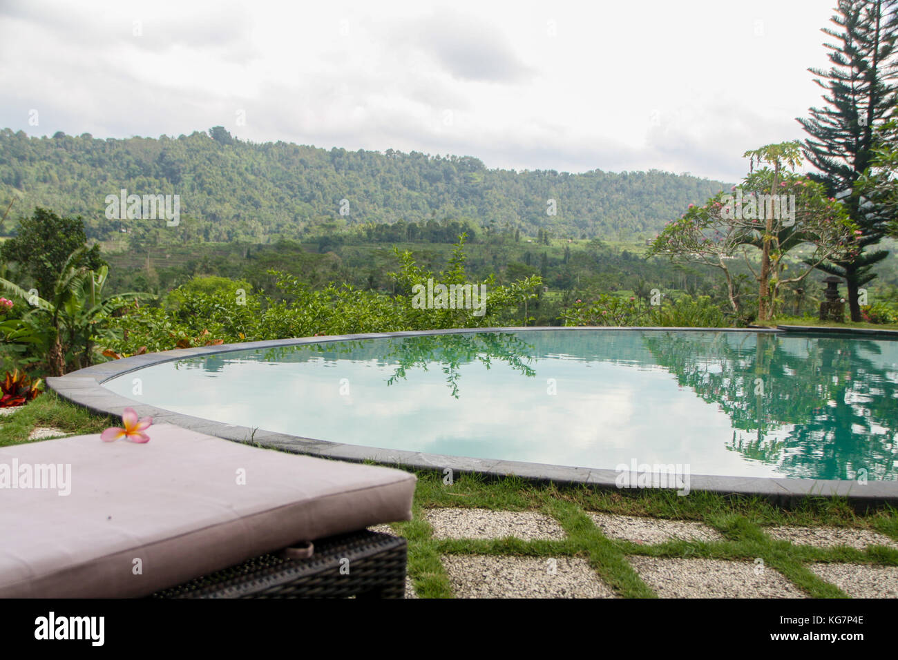 Swimming pool overlooking paddy-rice fields - Bali - Indonesia Stock ...