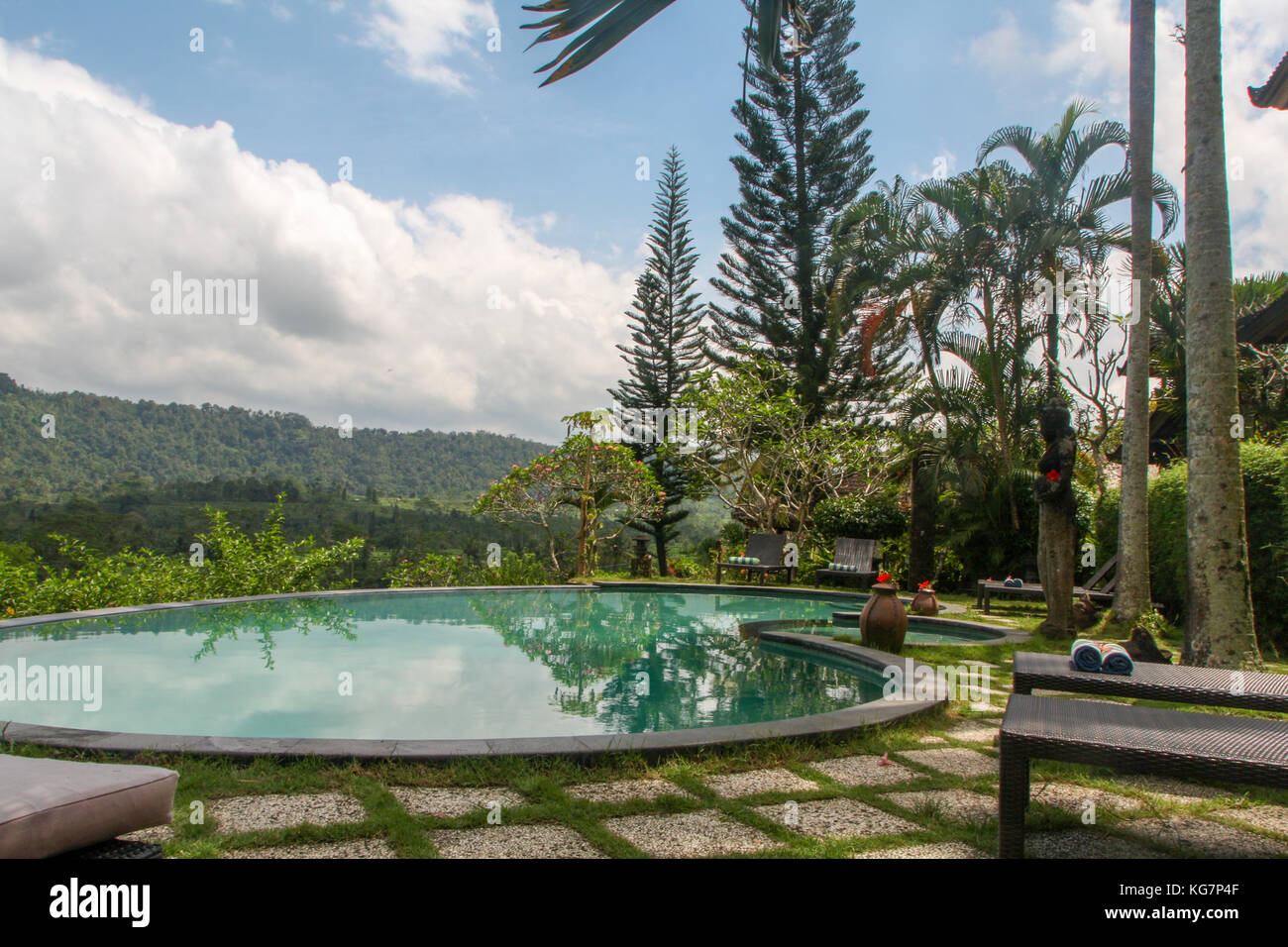 Swimming pool overlooking paddy-rice fields - Bali - Indonesia Stock ...