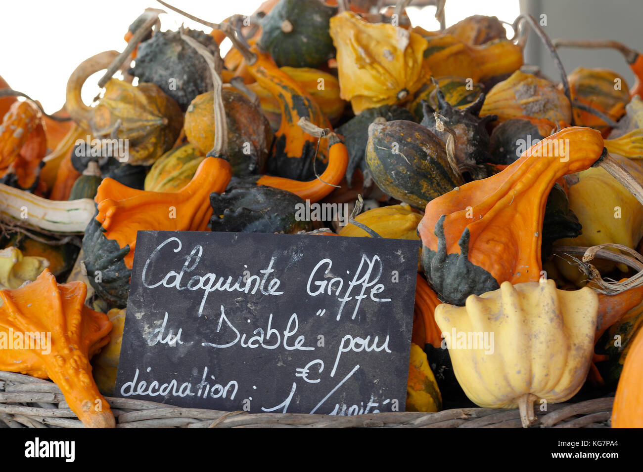 different colocynth for decoration with black chalkboard Stock Photo ...