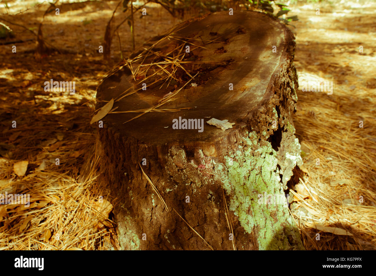 Meaning full hi-res stock photography and images - Alamy