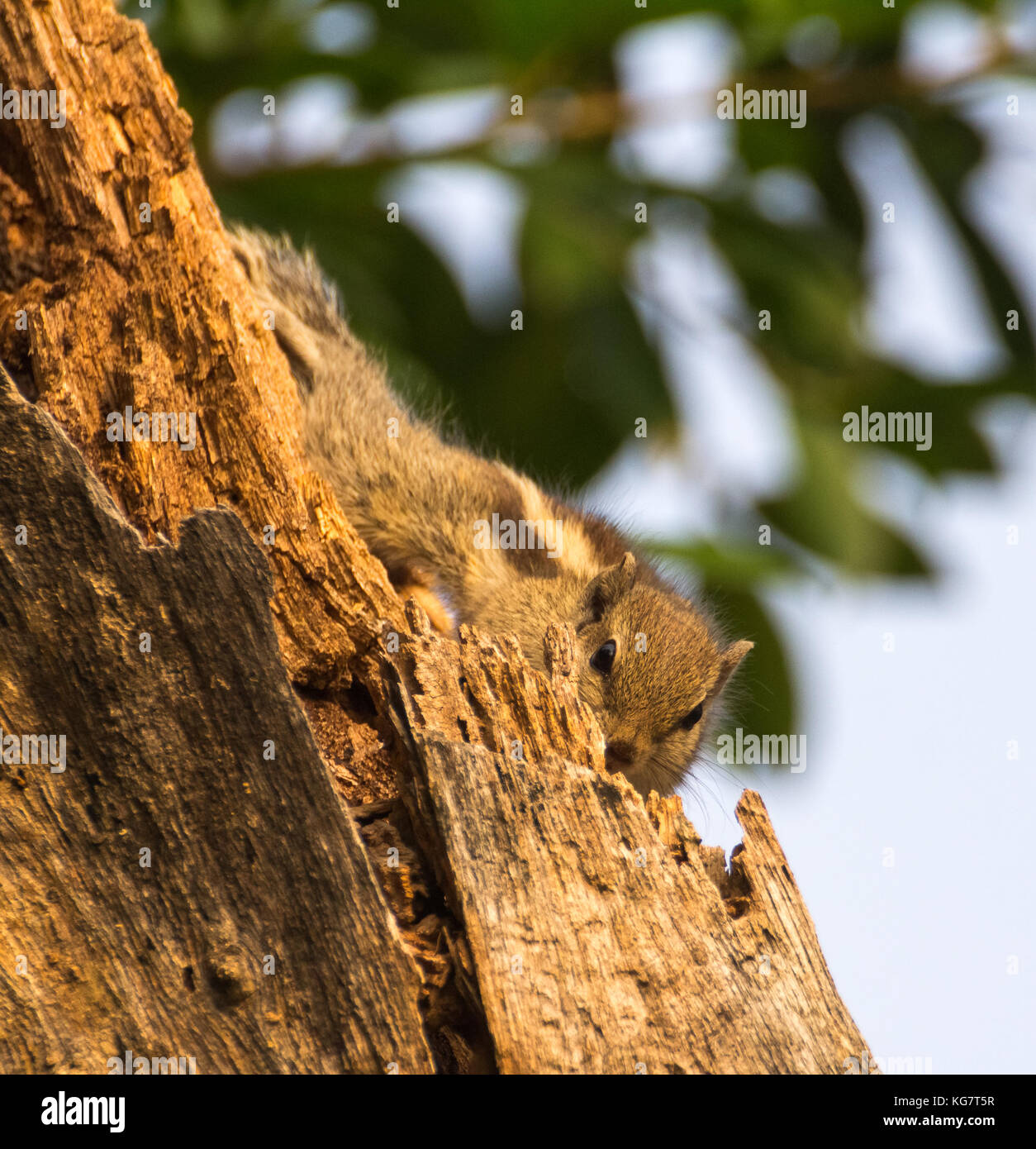 Can You See Me Stock Photo - Alamy