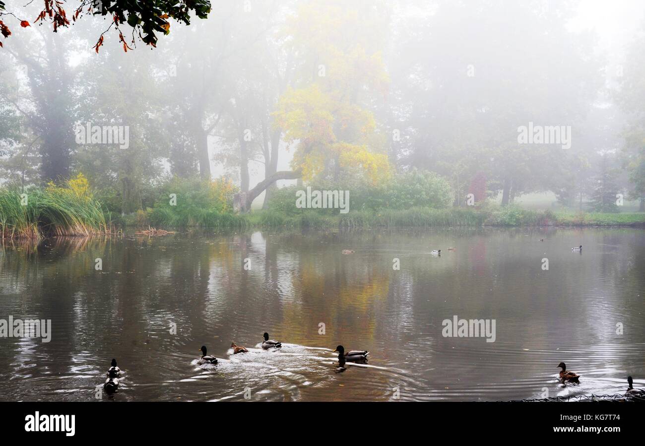 Colorfull plants shrubs and bushes at the fall by the lake with docks ...