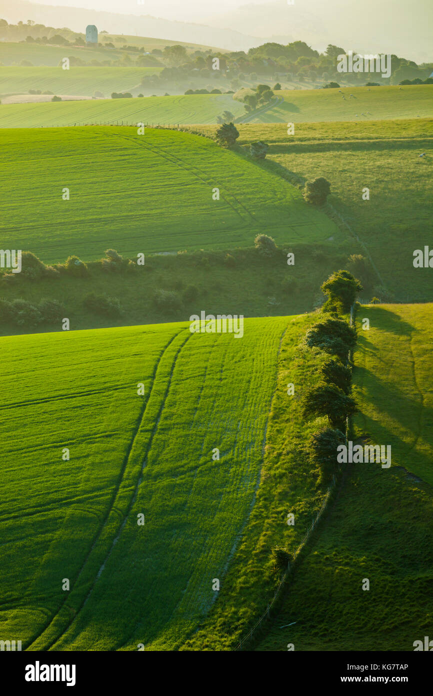 Spring sunrise on the South Downs, East Sussex, England Stock Photo - Alamy