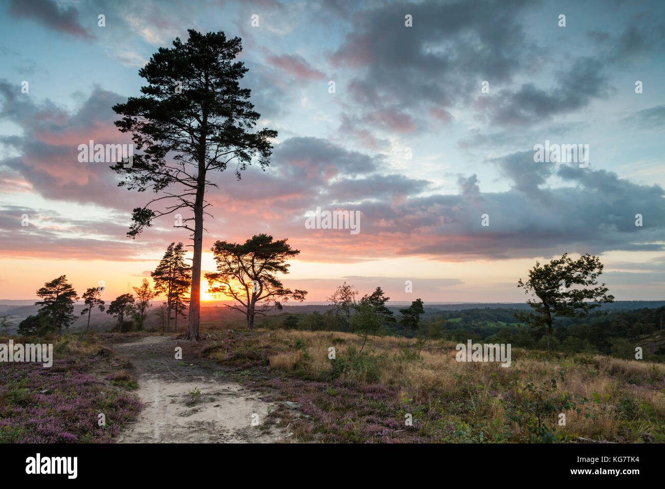Late summer sunset at Blackdown, South Downs National Park, West Sussex ...