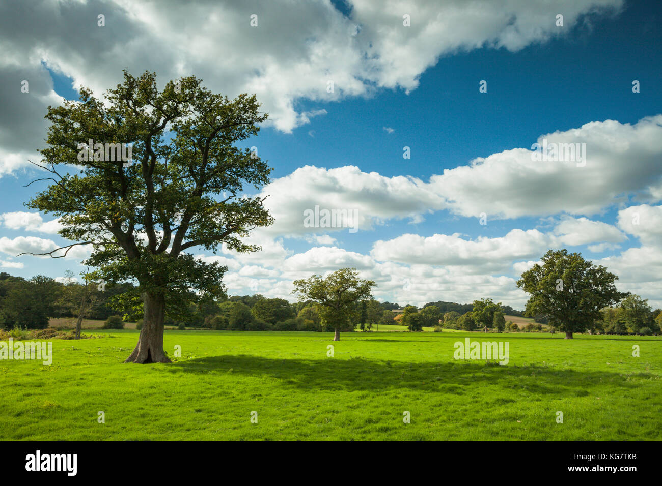 Early autumn on the High Weald in East Sussex, England Stock Photo - Alamy