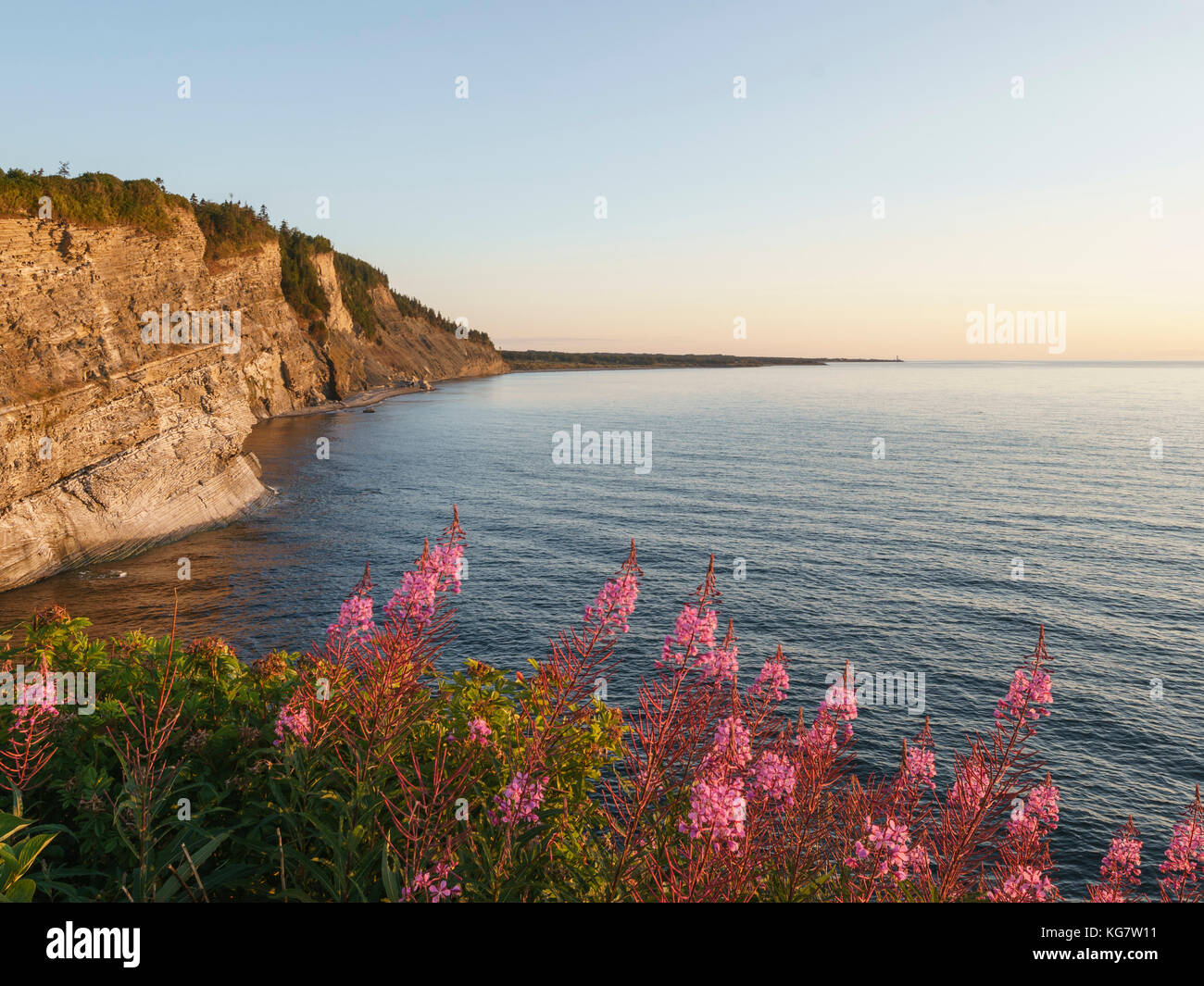 Cap-Bon-Ami of Forillon National Park at sunrise Stock Photo - Alamy