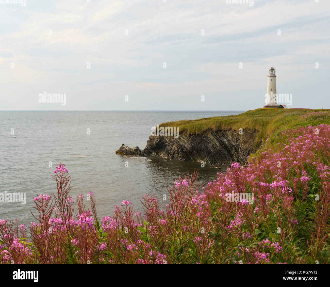 Cap-des-Rosiers lighthouse is the highest lighthouse in Canada Stock ...