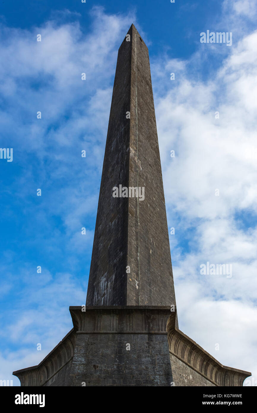 Wellington monument on the Blackdown hills, Somerset, UK Stock Photo ...