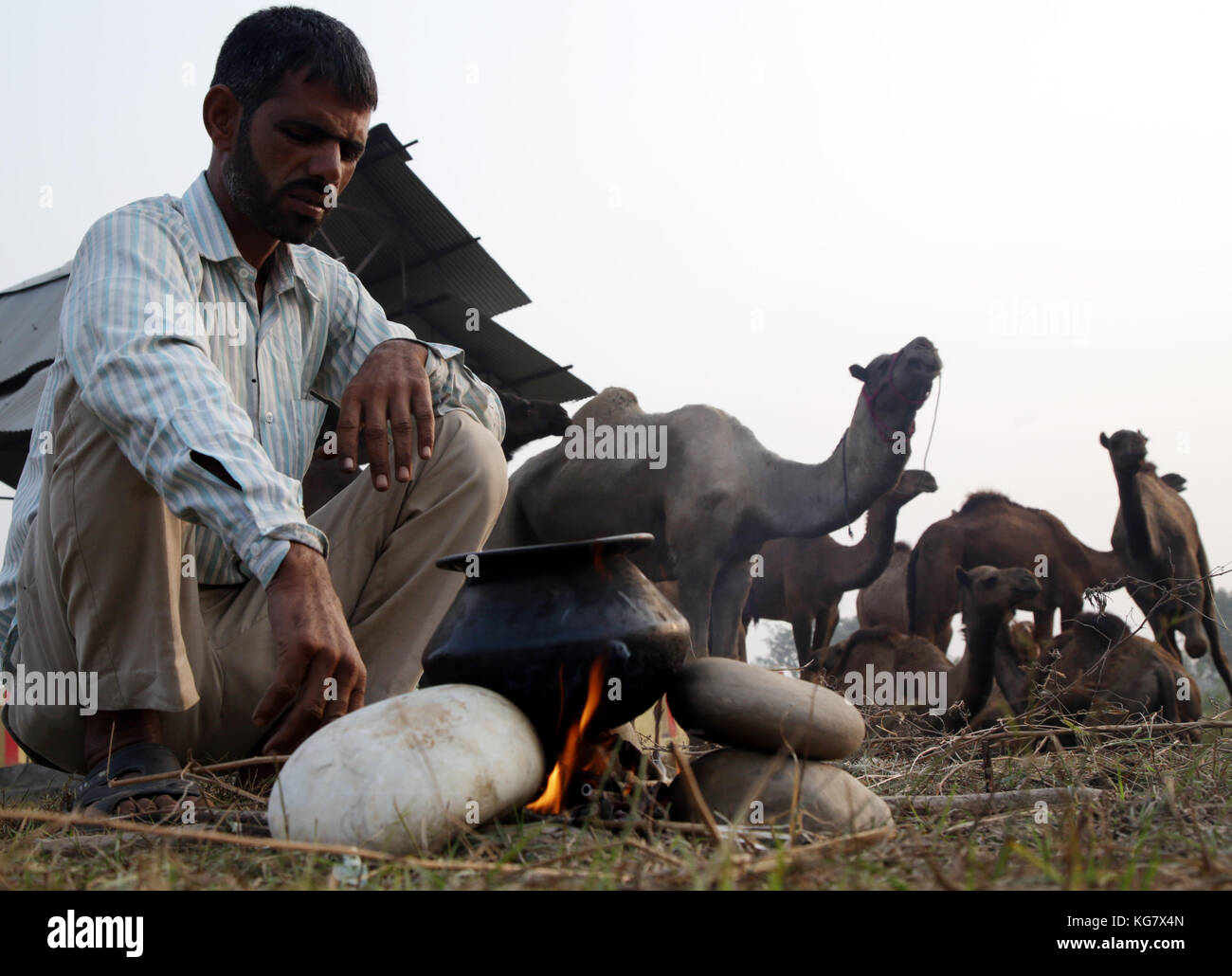 Indian livestock farmers wait for customers during Jhiri Fair at ...