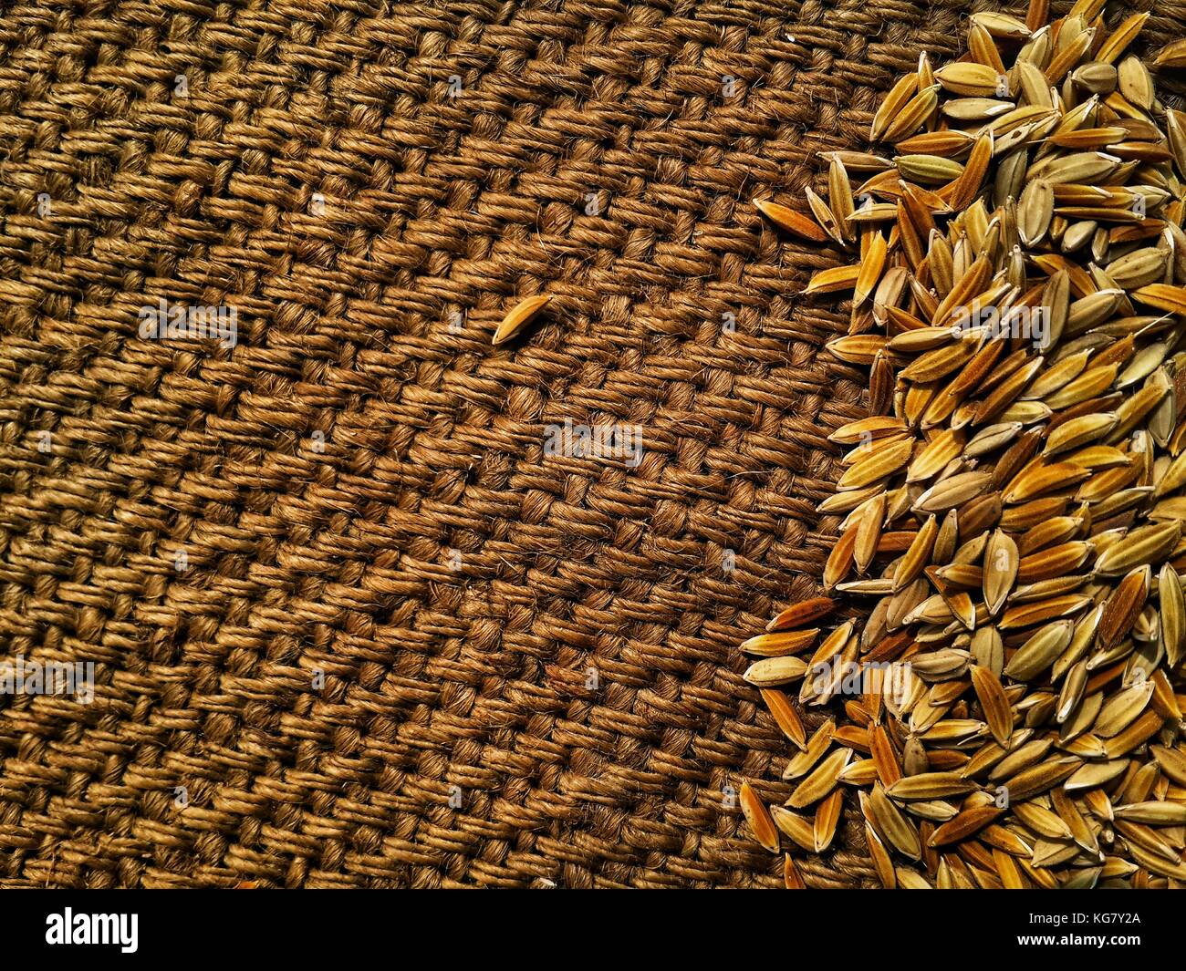 Paddy texture hi-res stock photography and images - Alamy
