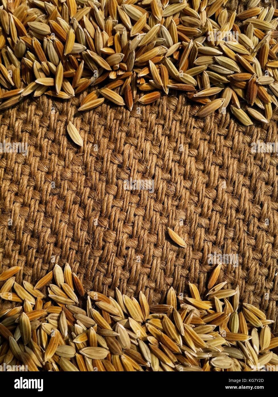 Unhusked rice hi-res stock photography and images - Alamy