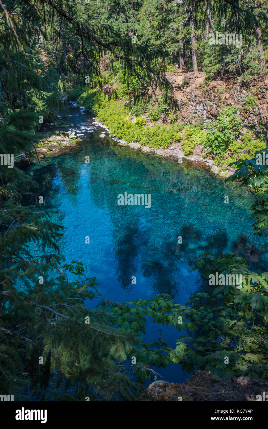Oregon's Blue Pool Through Trees fills from underground water sources ...