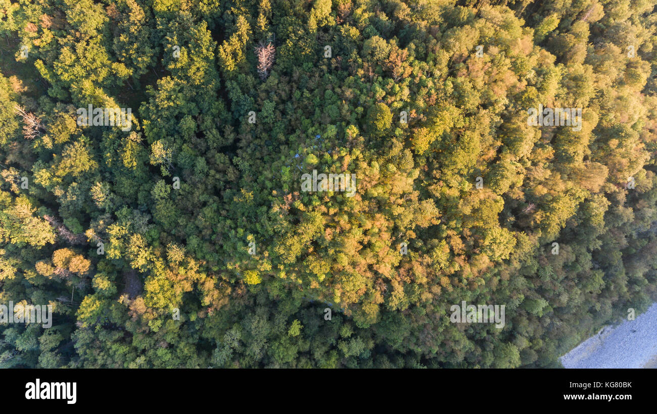 Aerial view of mixed forest Stock Photo - Alamy