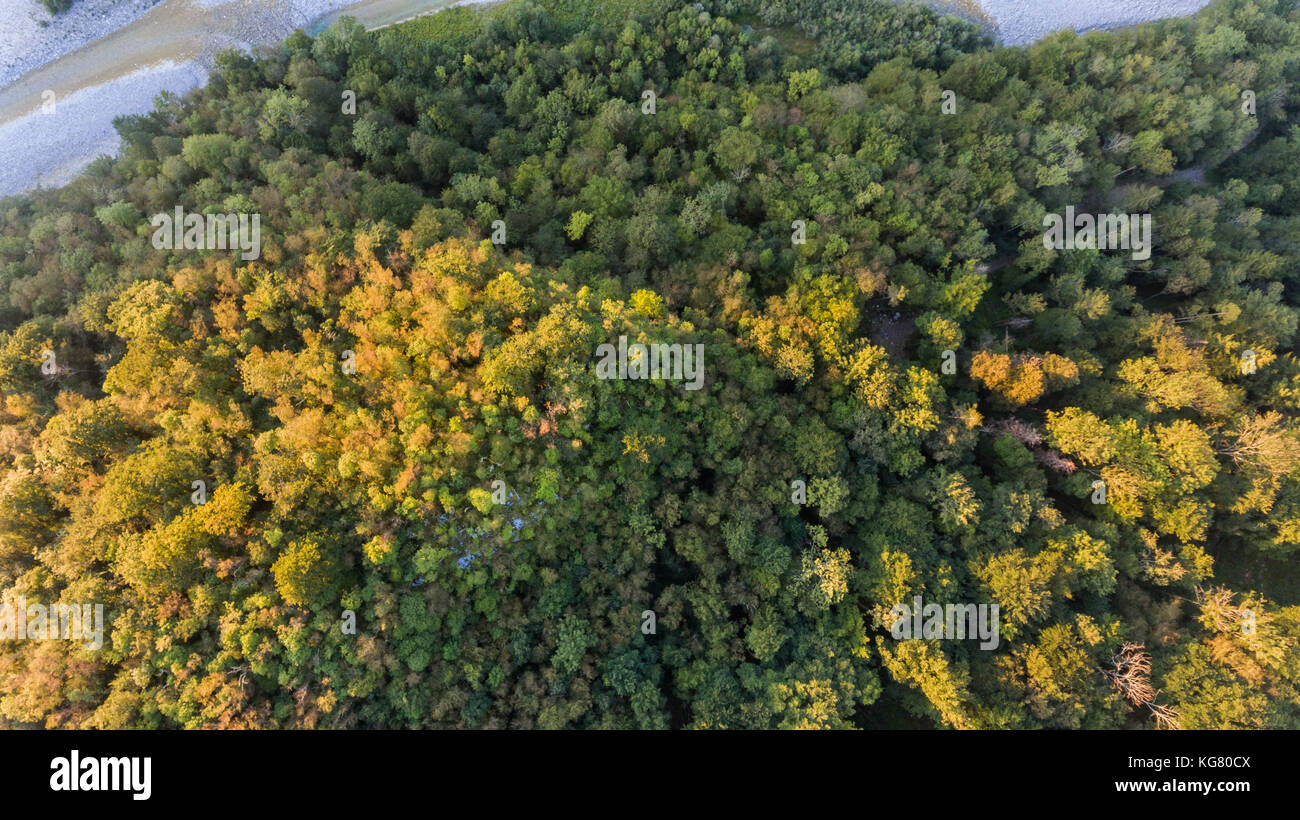 Aerial view of mixed forest Stock Photo - Alamy