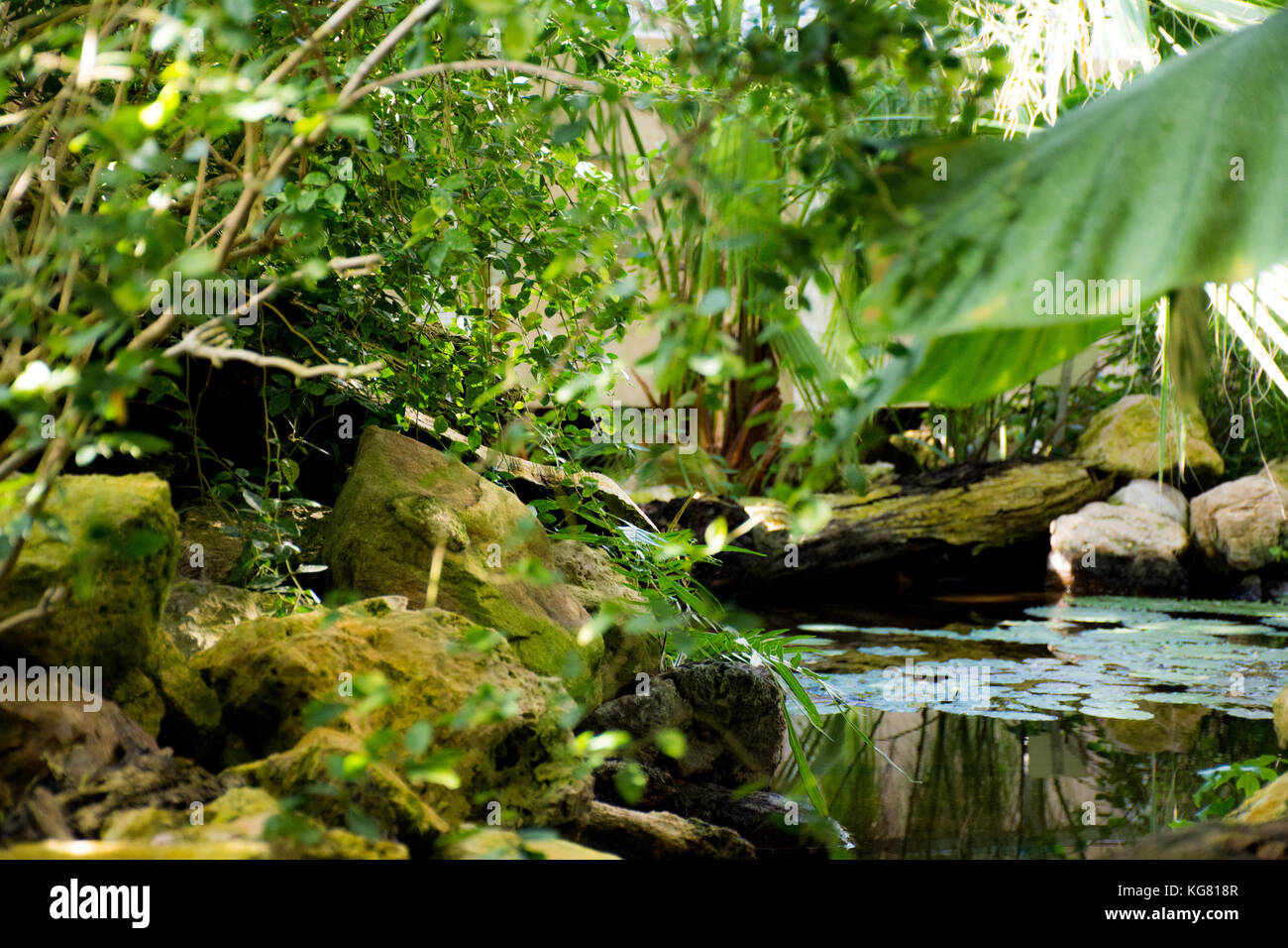 small river in Schönbrunn (Palmenhaus), Vienna, Austria Stock Photo - Alamy
