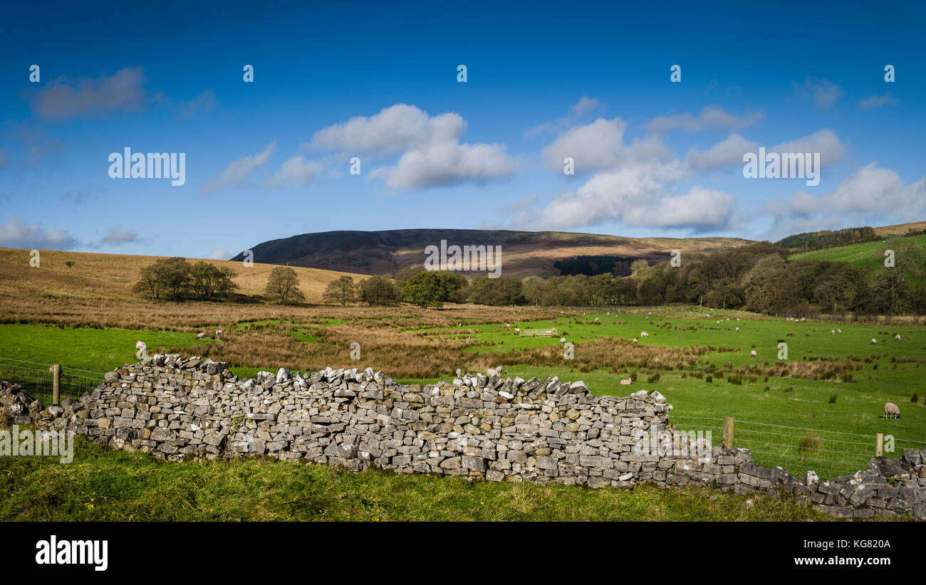 Walking route around Stocks Reservoir, Gisburn Forest, Lancashire, UK ...