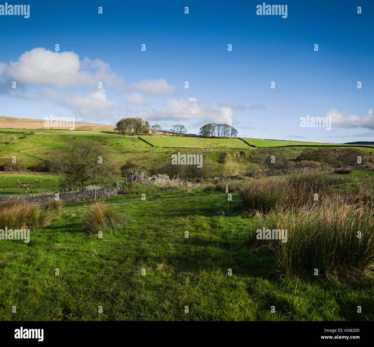 Walking route around Stocks Reservoir, Gisburn Forest, Lancashire, UK ...