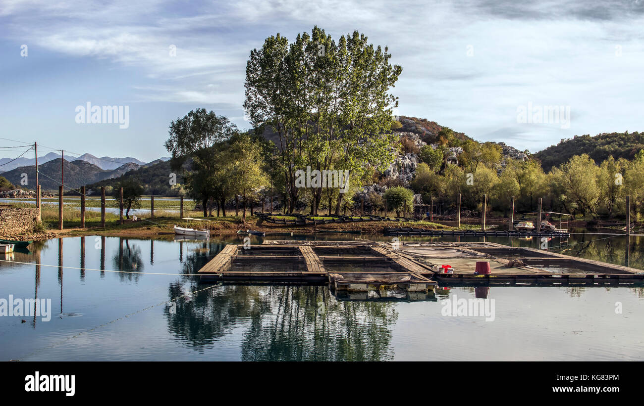 Village Karuc, Montenegro - Floating fish hatcheries in the Skadar Lake ...