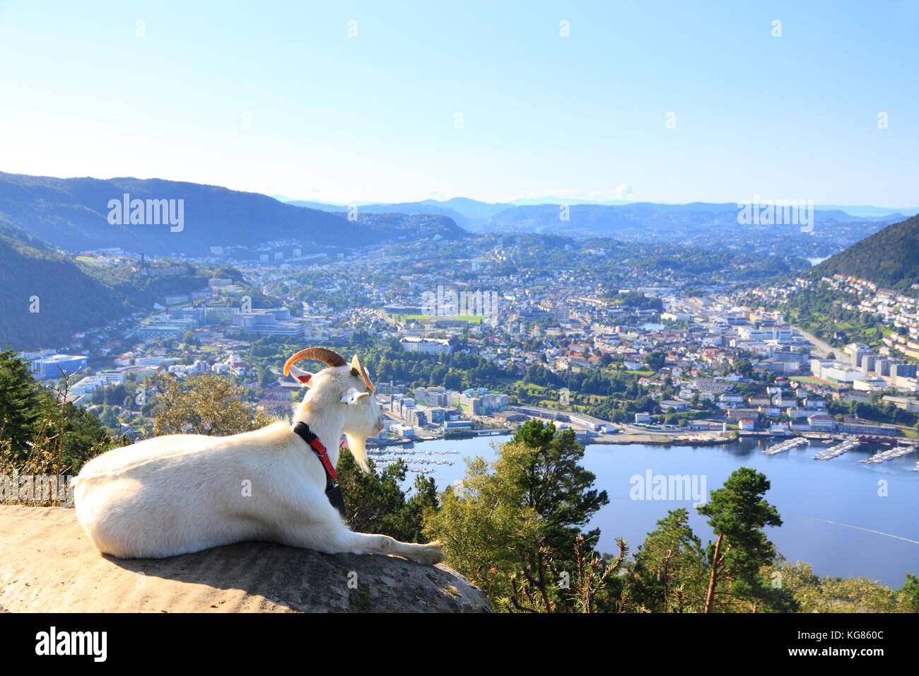 Floyenguttene hi-res stock photography and images - Alamy