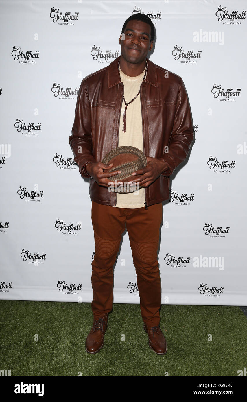 LOS ANGELES, CA - NOVEMBER 4: Sheldon Bailey, at The 2017 Fluffball ...