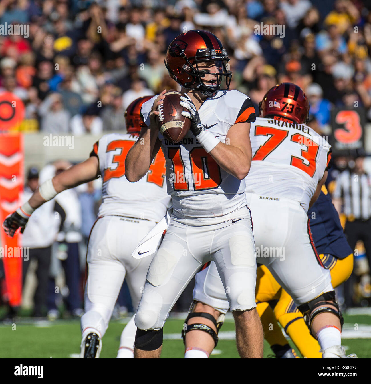 California Memorial Stadium. 4th Nov, 2017. U.S.A. Oregon State ...