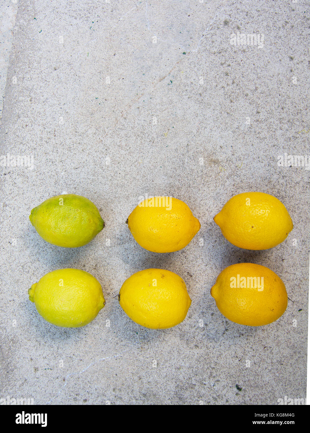 Lemons in various stages of ripening on concrete background Stock Photo ...