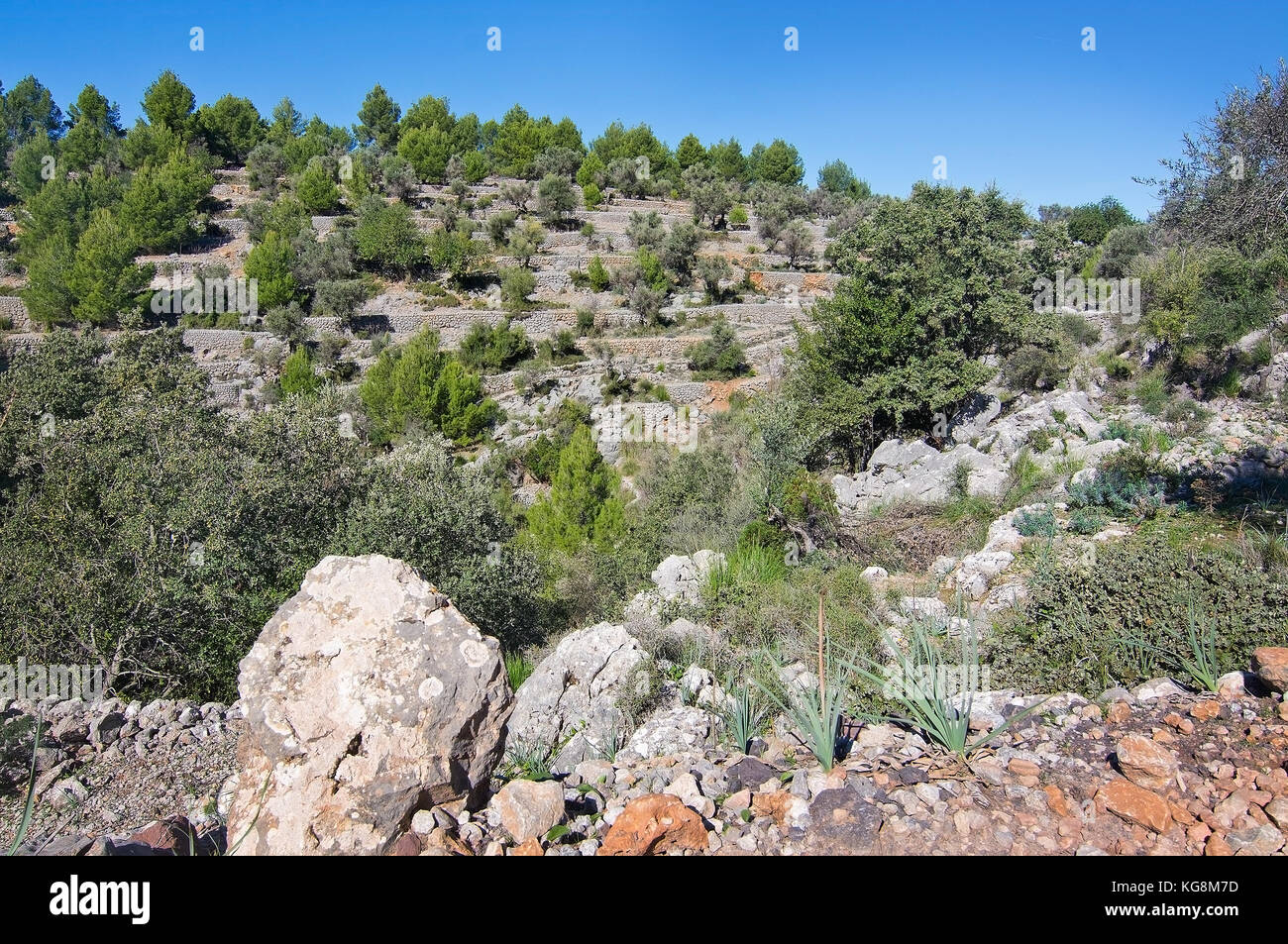 Natural beautiful landscape in October in Mallorca, Spain Stock Photo ...