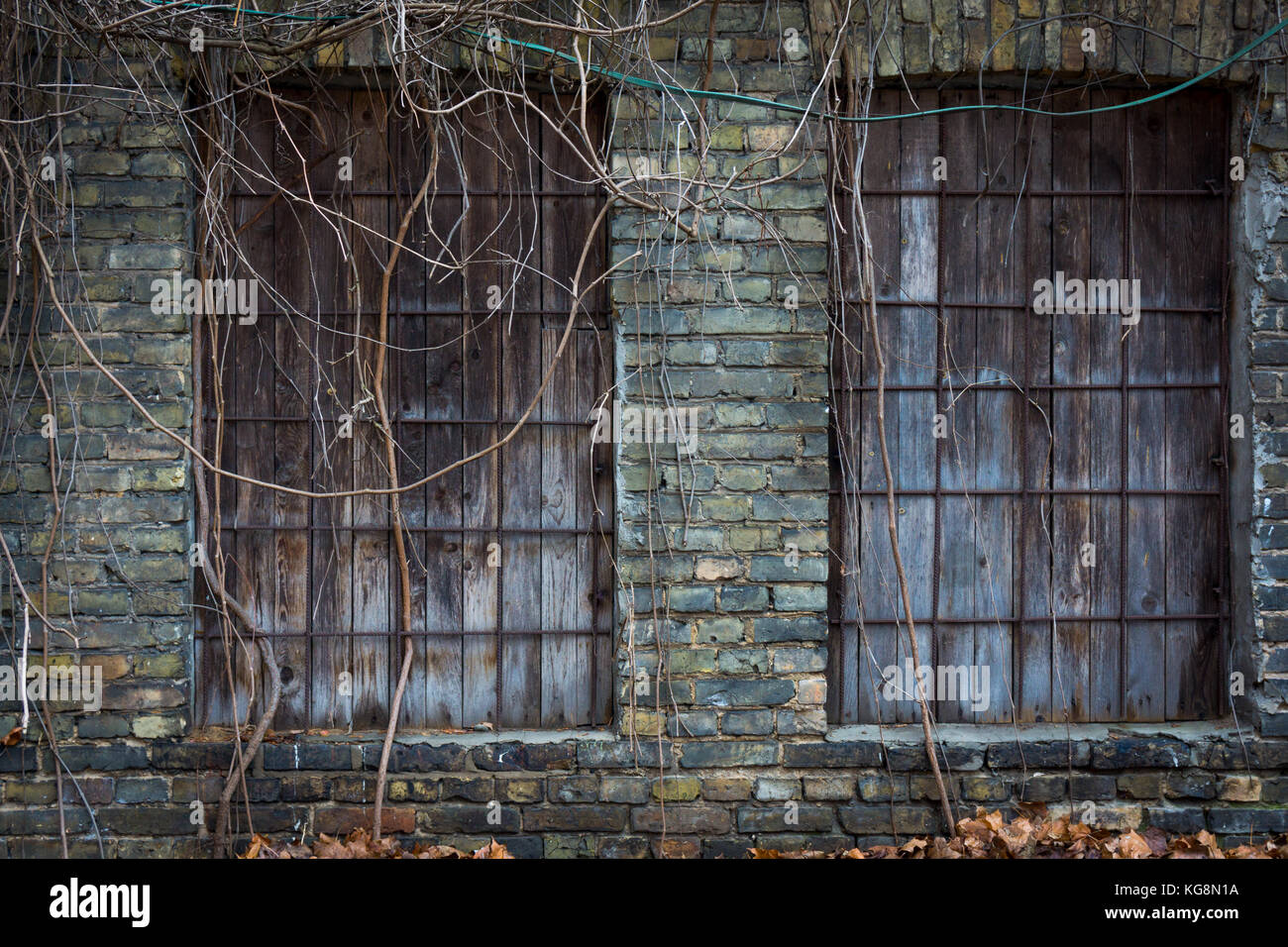 House boarded up windows hi-res stock photography and images - Alamy