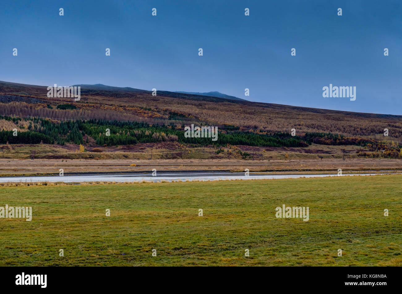 Icelandic Landscape with mountains and colourful trees near Reyk Stock ...