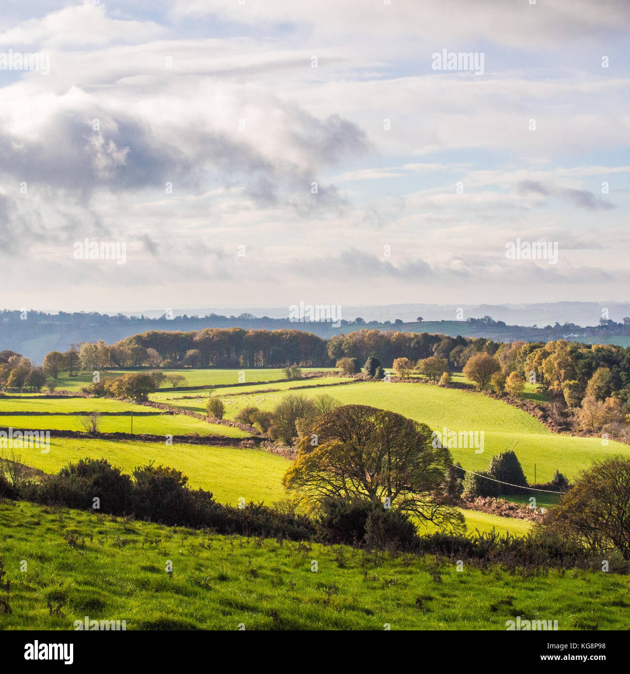 Belper derbyshire england hi-res stock photography and images - Alamy