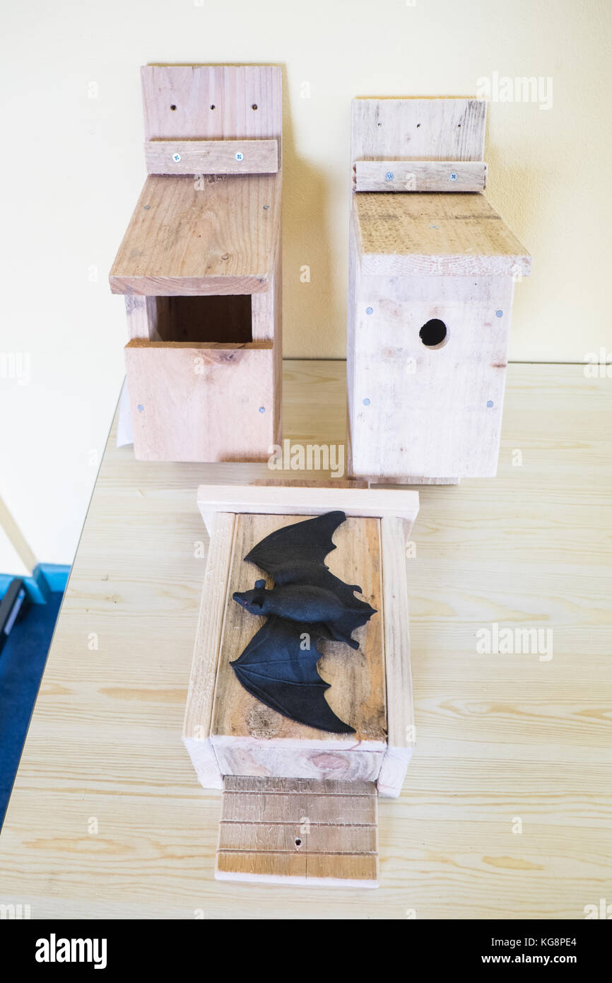 Half Term Activity.Making a bat box at Llanelli Wetland Centre ...